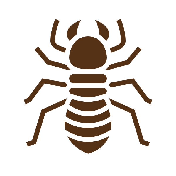 Control de plagas termitas | Ambilur